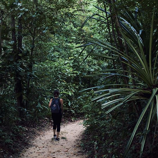 Nature discovery skills