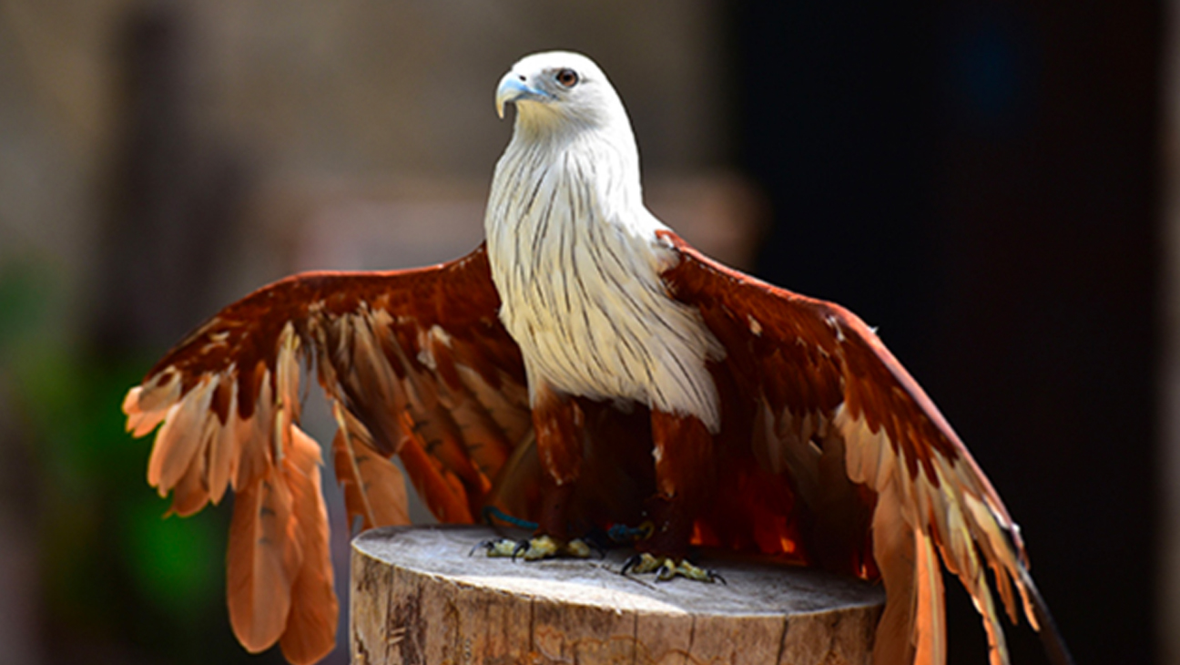 16 Things You Didn't Know About Sentosa