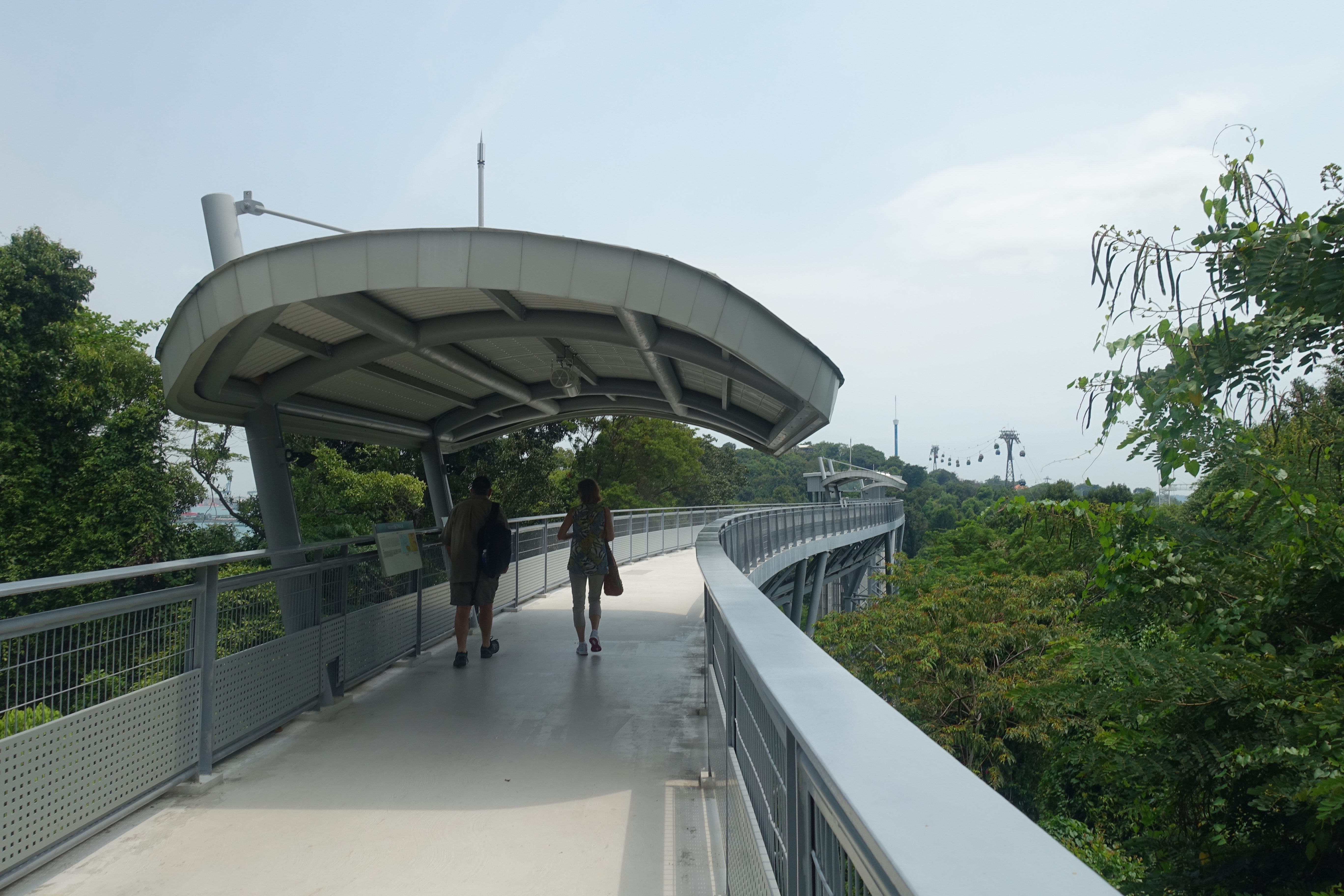 Guide to Coastal Trail: Nature walk in Sentosa