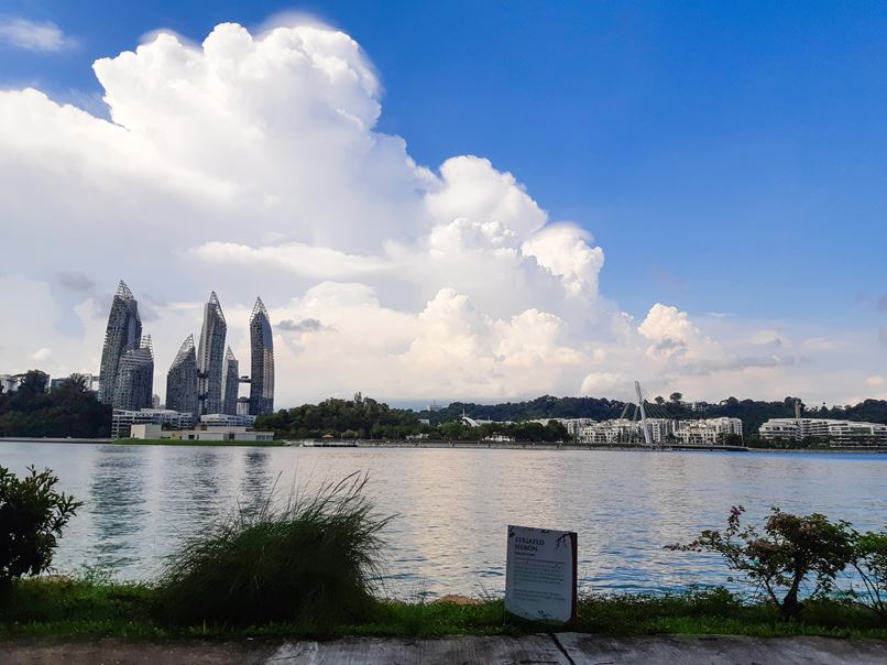 Guide to Coastal Trail: Nature walk in Sentosa