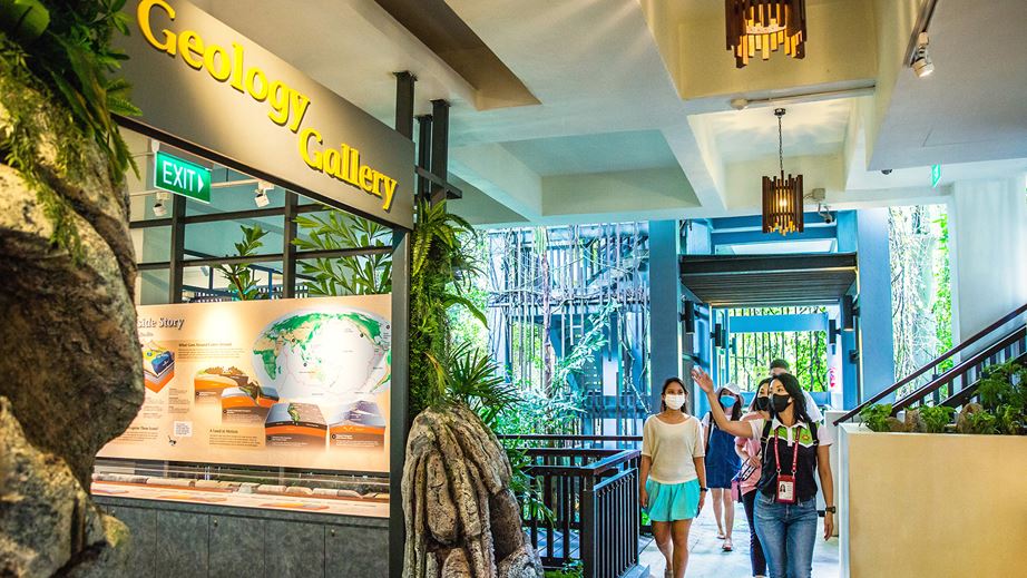 Unlock secrets behind Sentosa Island at the new Geology Gallery