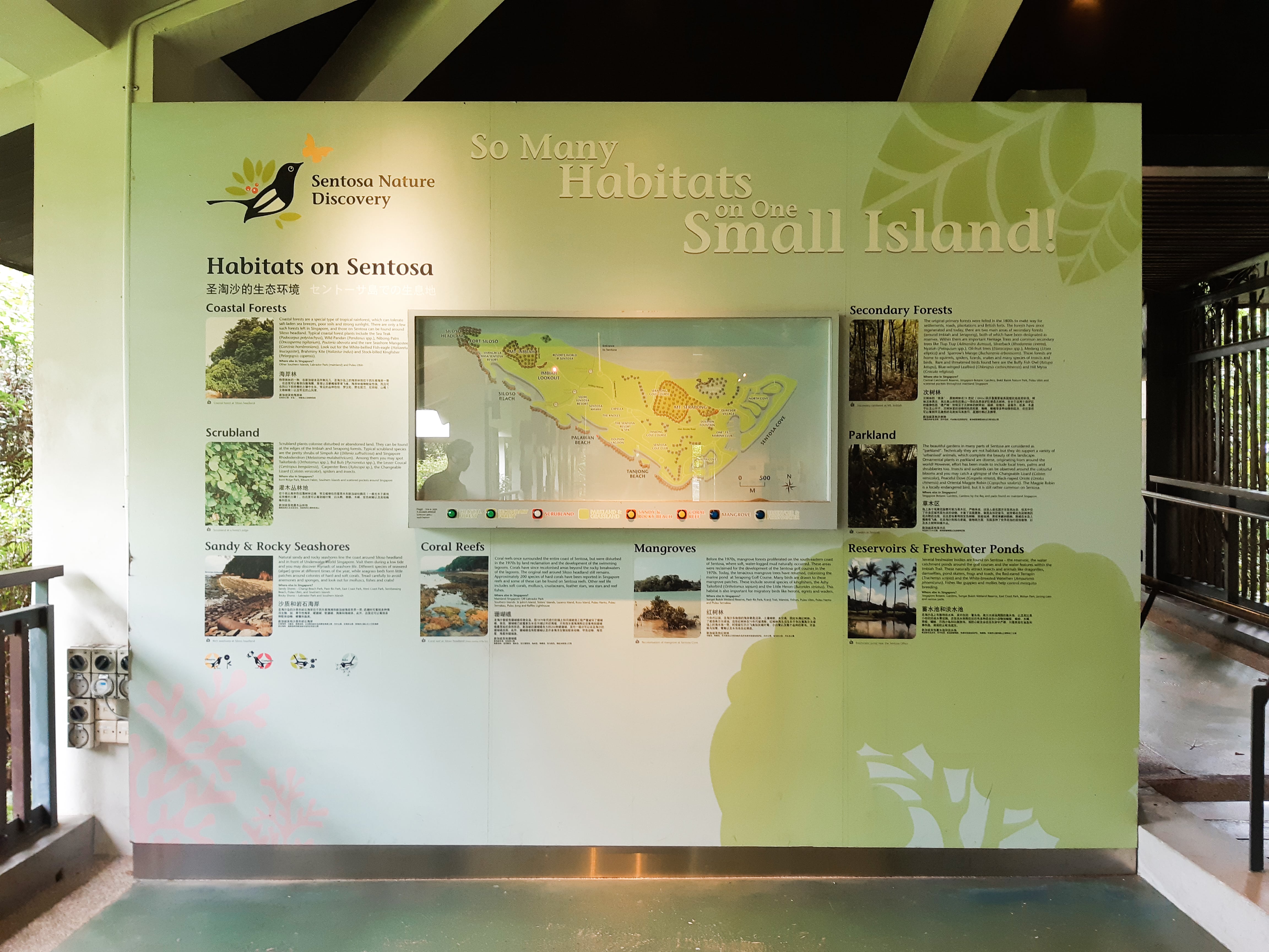 Guide to Imbiah Trail: Nature walk in Sentosa
