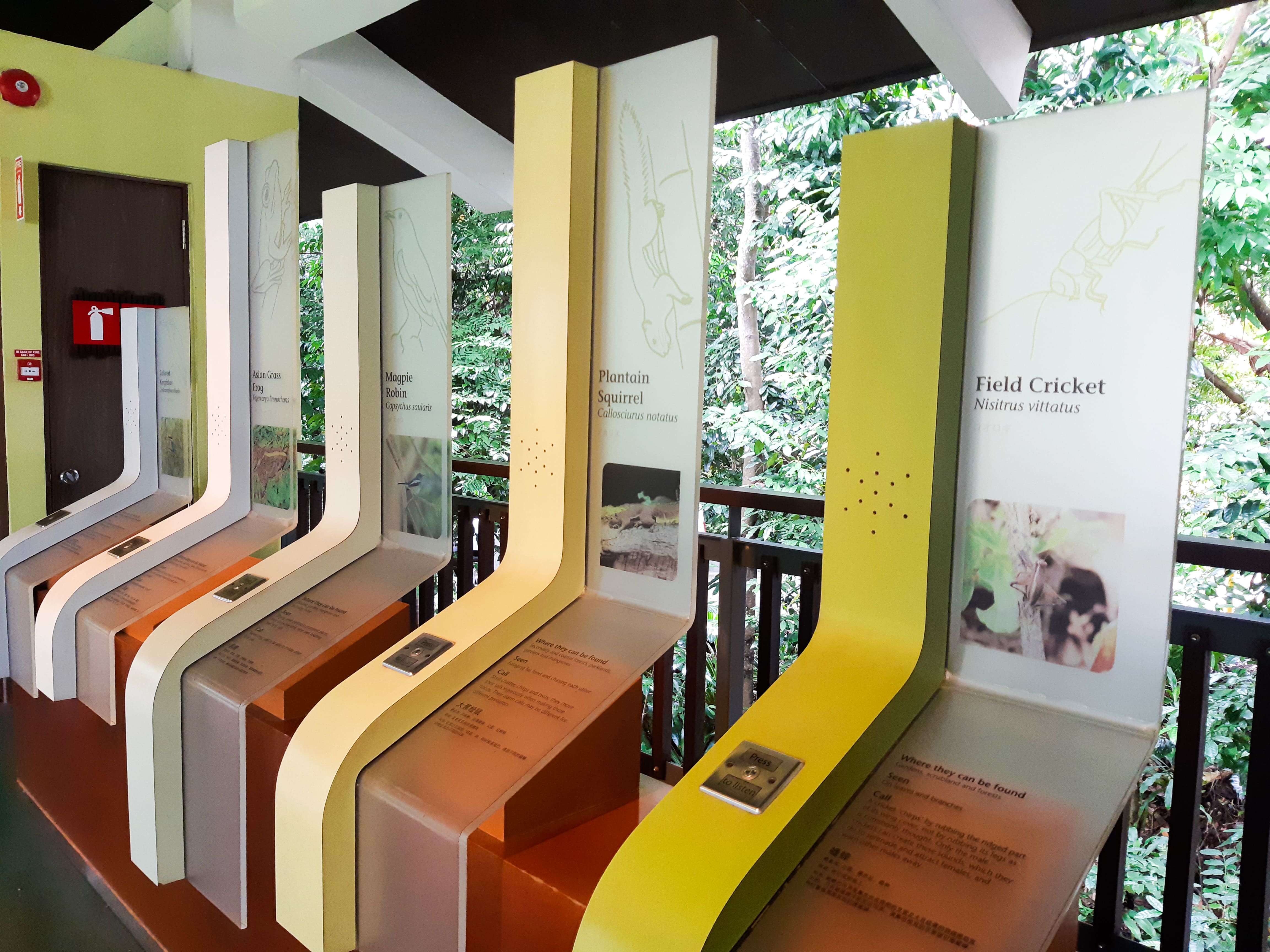 Guide to Imbiah Trail: Nature walk in Sentosa