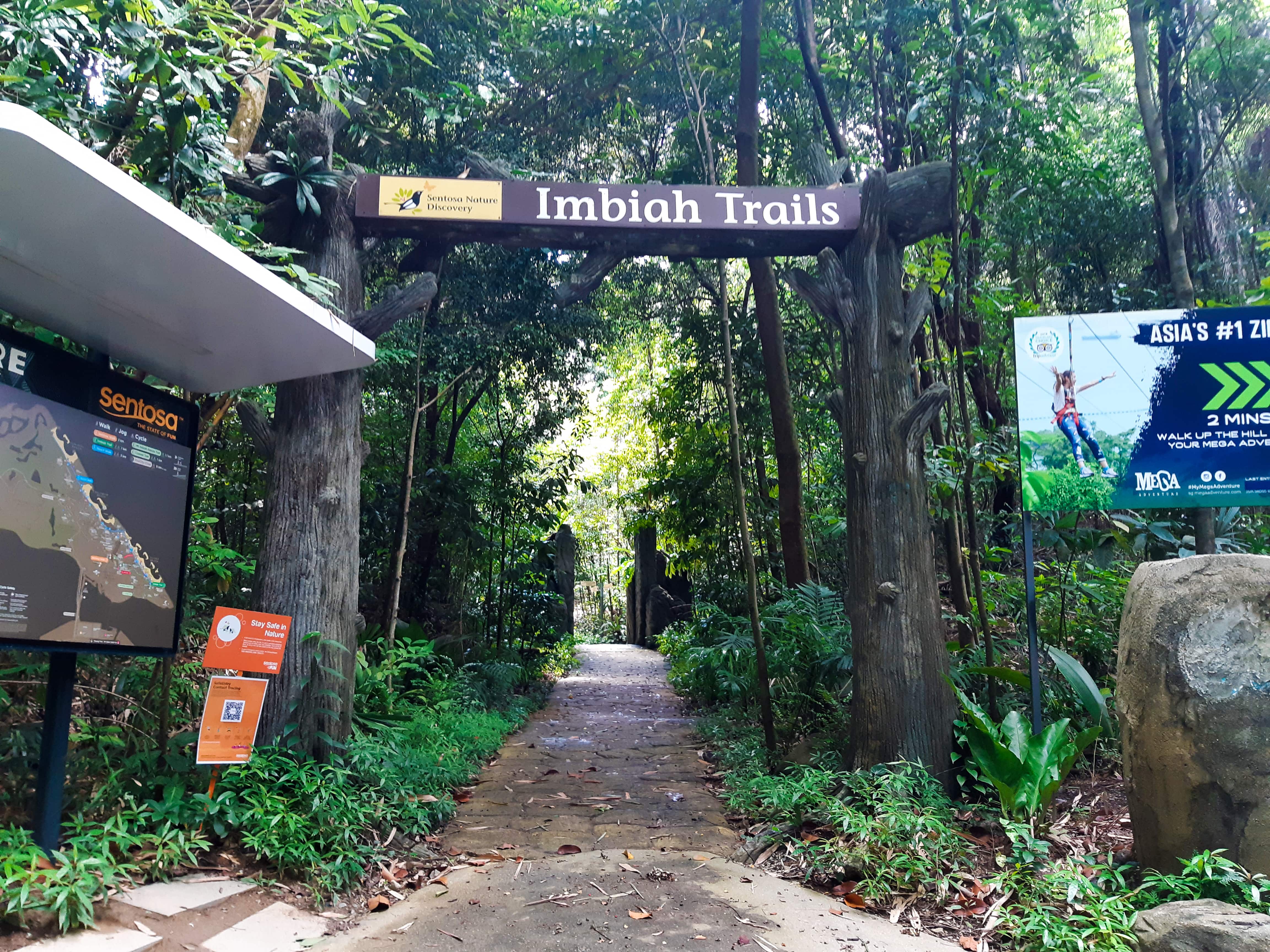 Discovering nature on Sentosa
