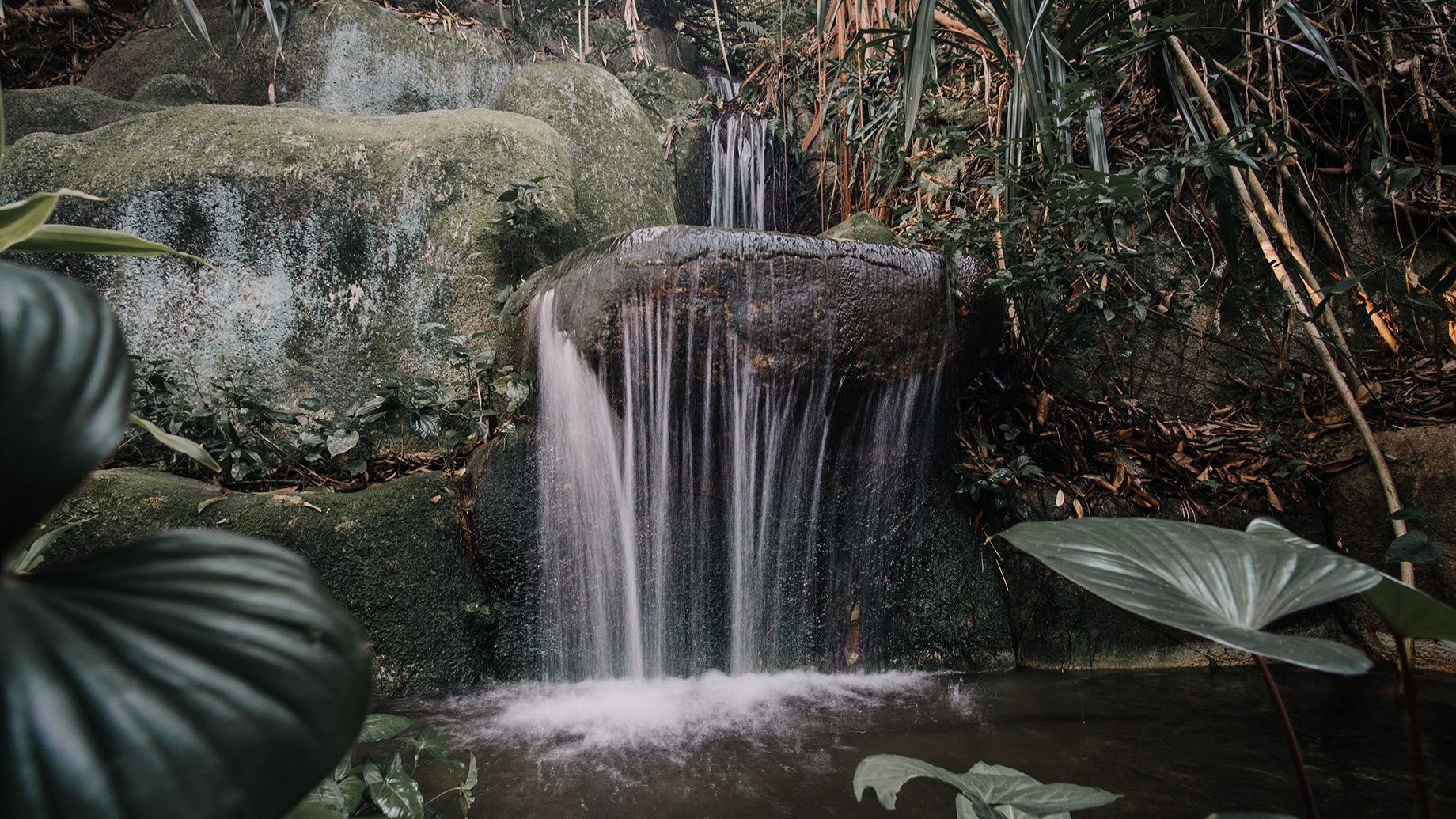 Guide to Imbiah Trail: Nature walk in Sentosa