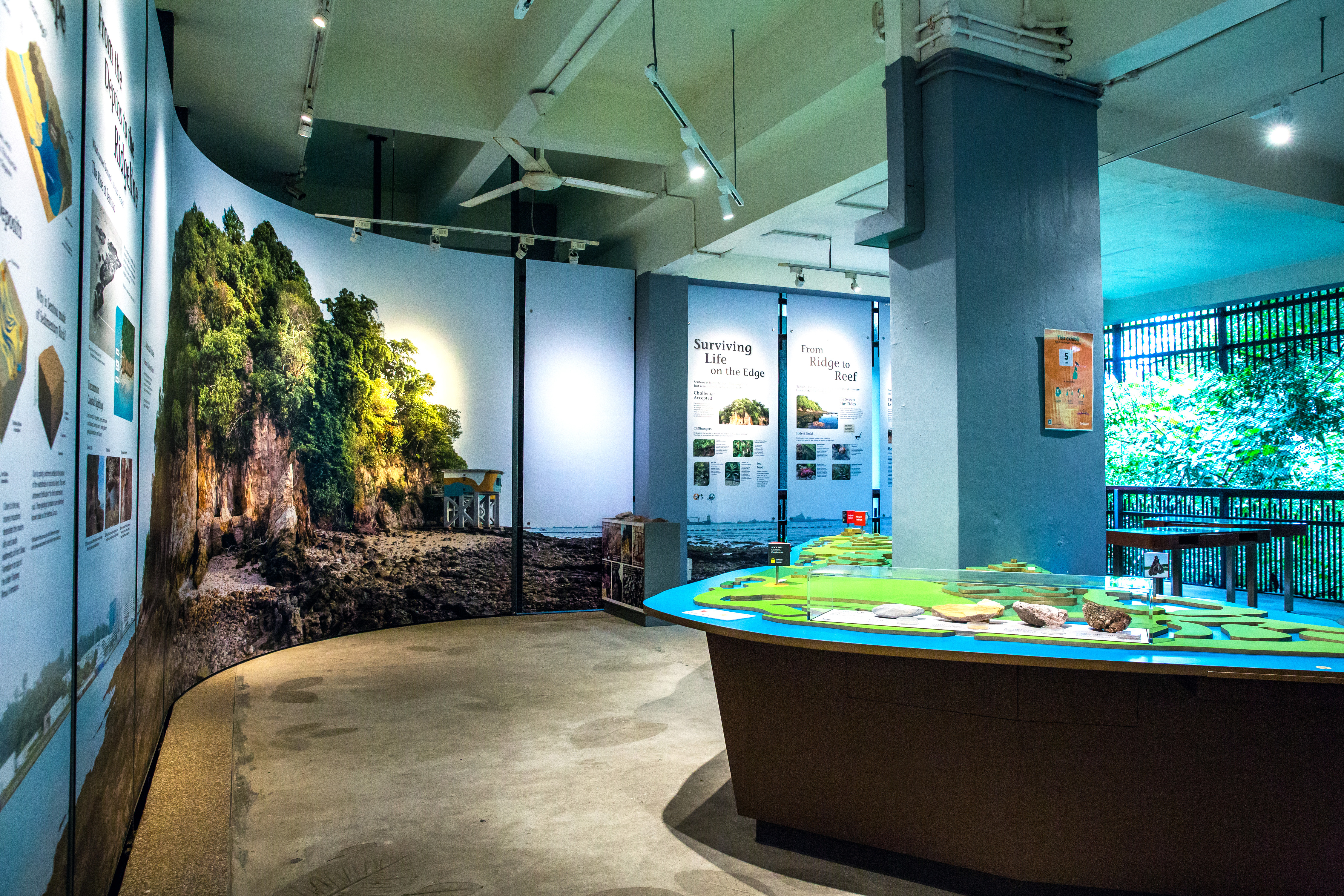 Educational activities for kids of all ages on Sentosa Island