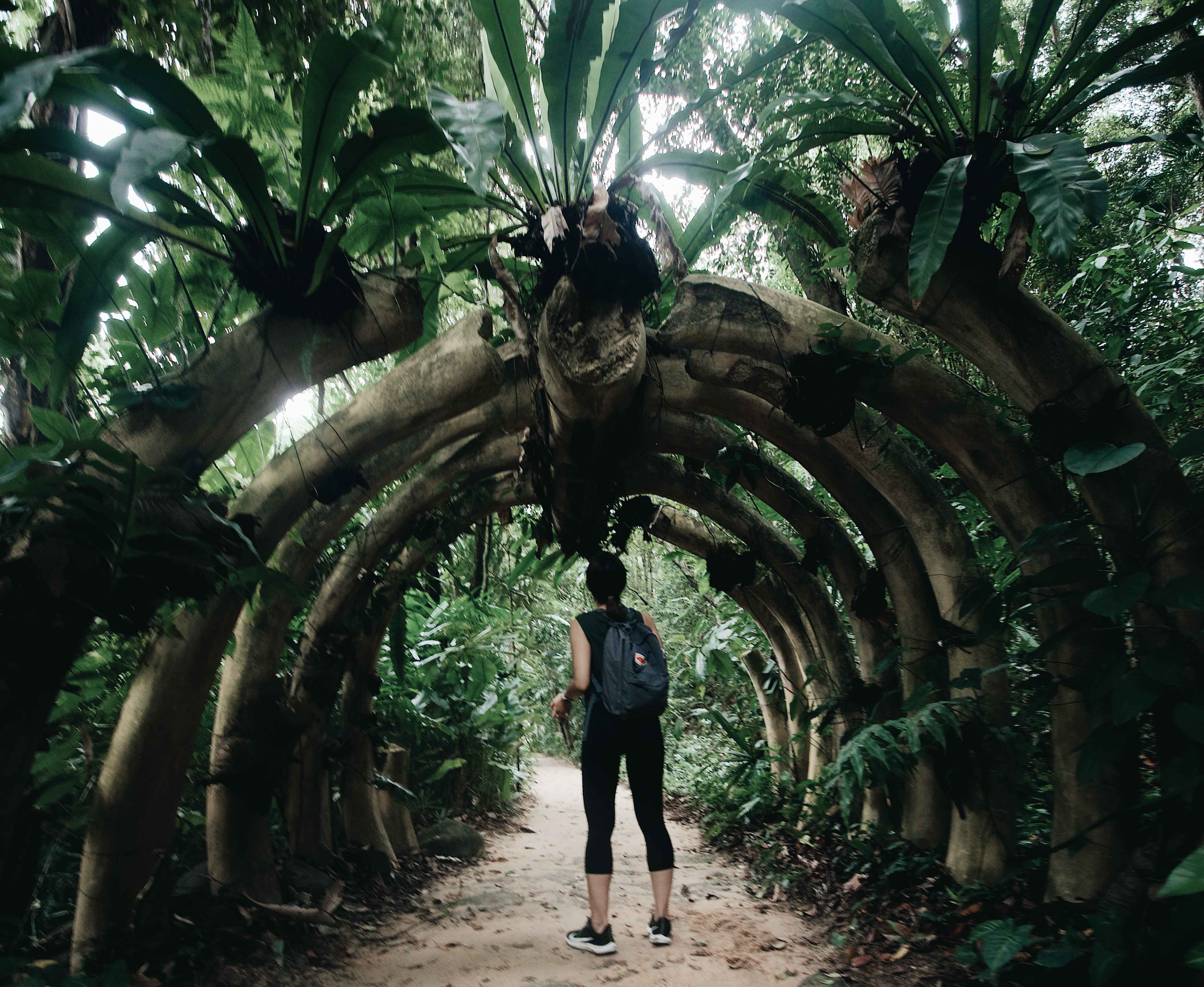 Discover Sustainable Sentosa: Eco-friendly Tips On The Island