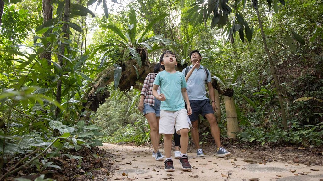 Discovering Nature