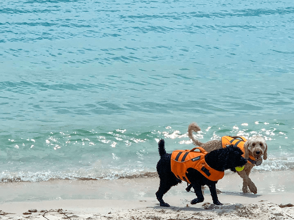 Getaway to the Southern Islands of Singapore