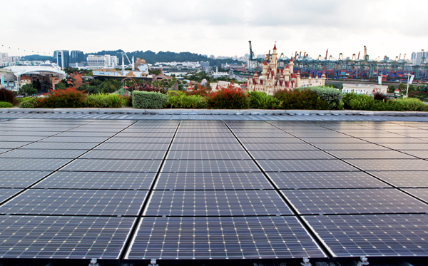 Sustainability fun facts you never knew about Sentosa