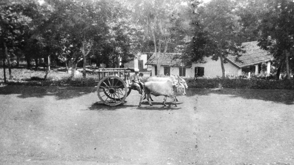 Rediscover Sentosa's Rich Heritage & History