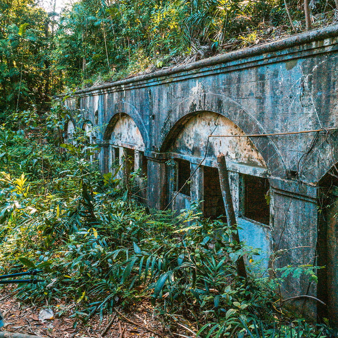Discover a different side of Sentosa: SentoSights tour for everyone