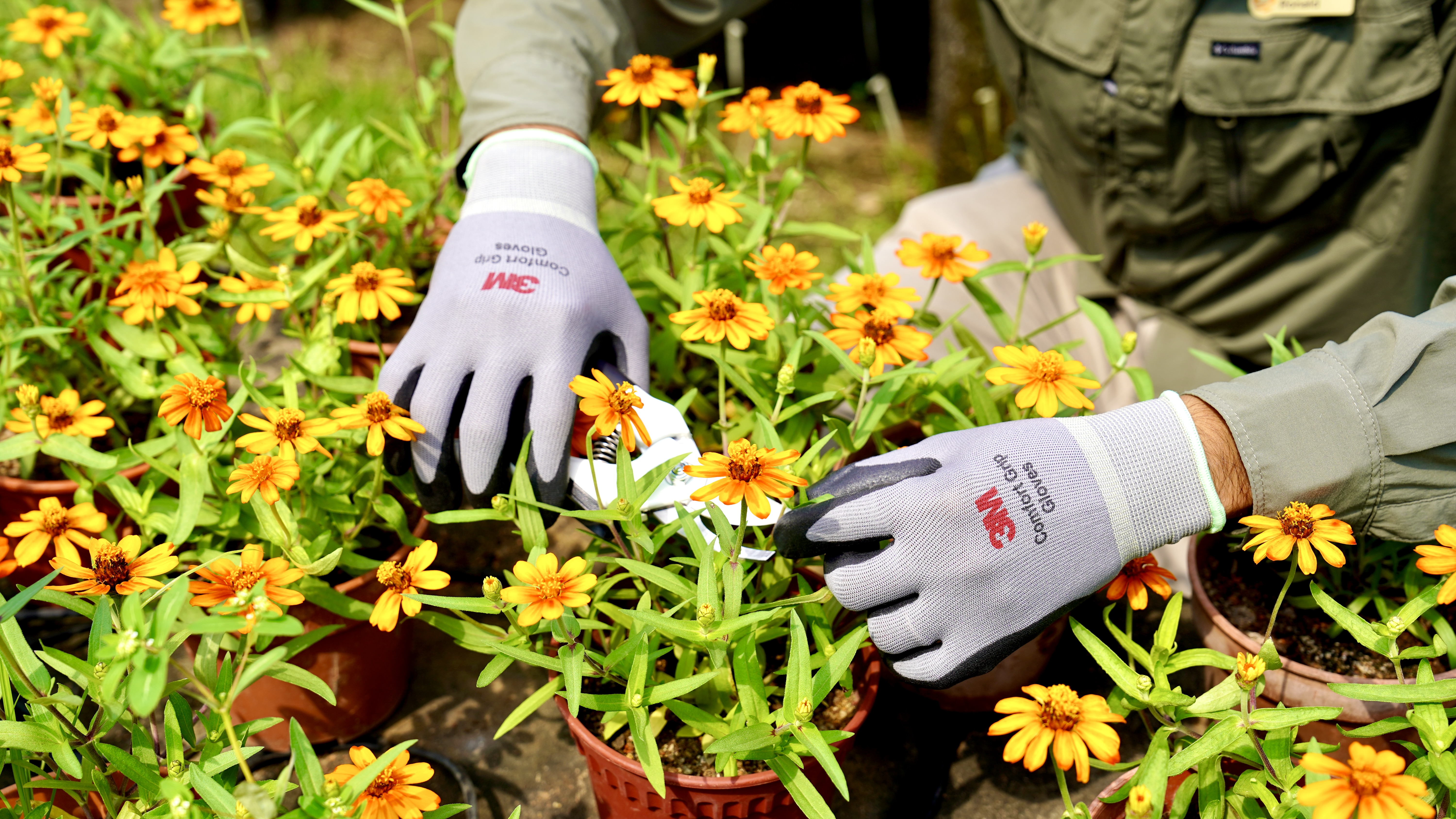 Ronald Batchelor: Living with deafness, he grows a garden of beauty in ...