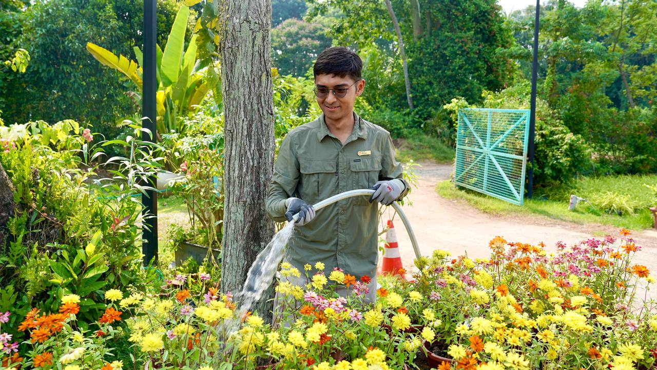 Ronald Batchelor: Living with deafness, he grows a garden of beauty in ...