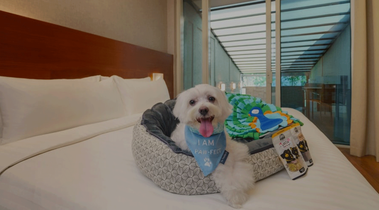 Best Pet-Friendly Hotel in Sentosa for the Ultimate Pawcation
