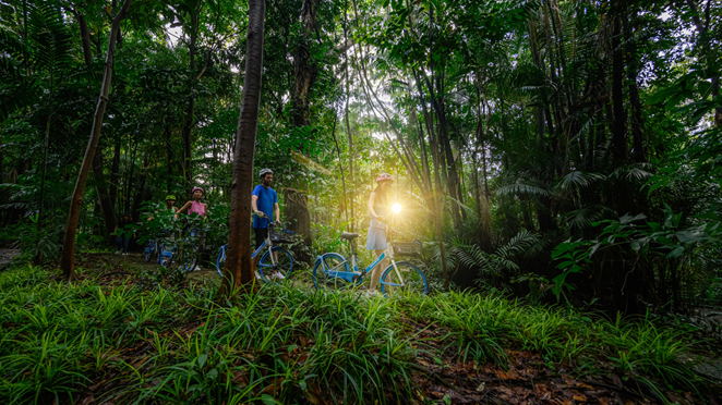 Wellness Activities in Singapore: Discover Nature-Led Experiences on ...