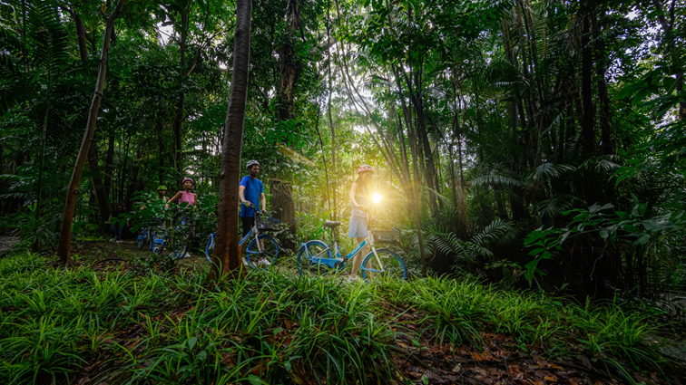 Sentosa with Kids – Best Family Attractions & Activities for All Ages