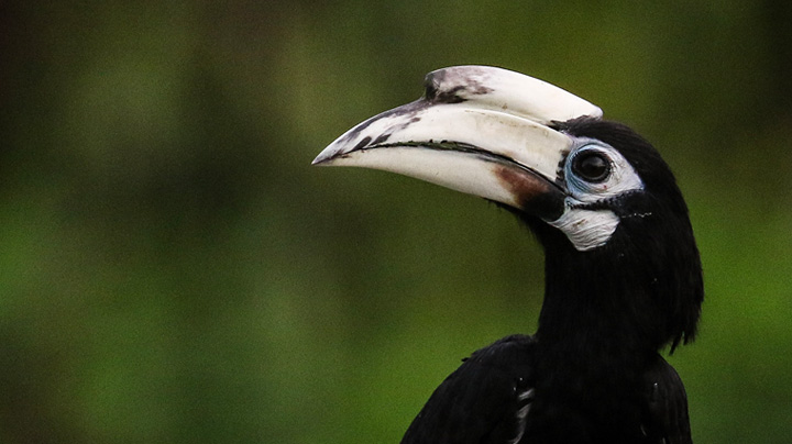 Where to run in Sentosa? Here are 2 running routes