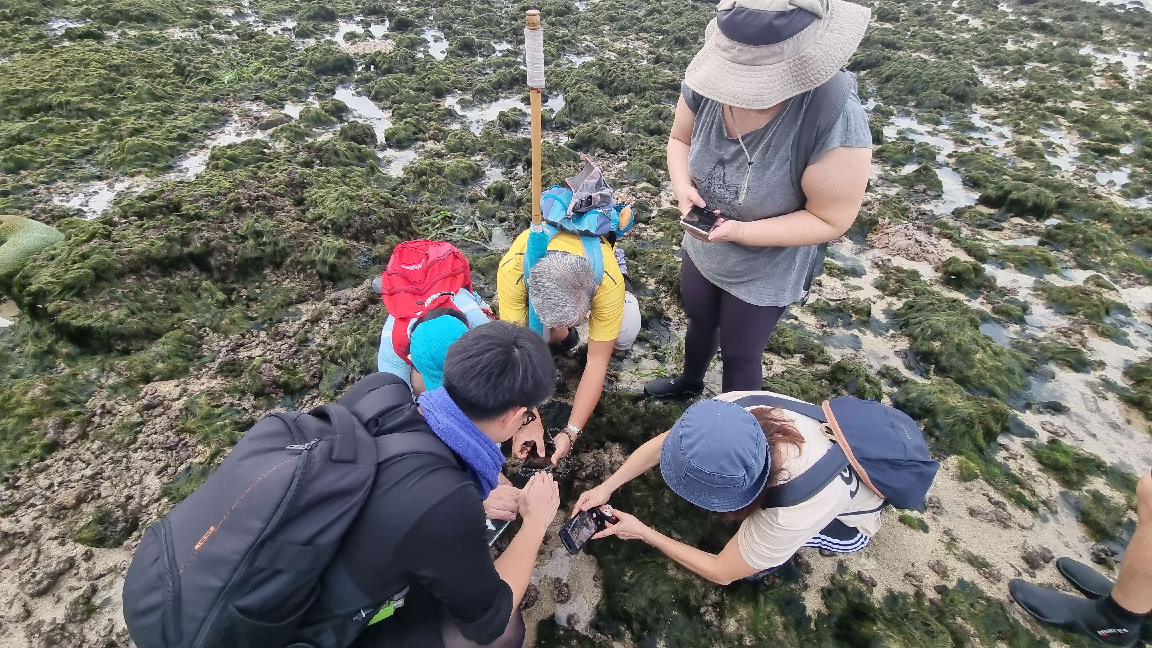 Nature and Wildlife Programmes