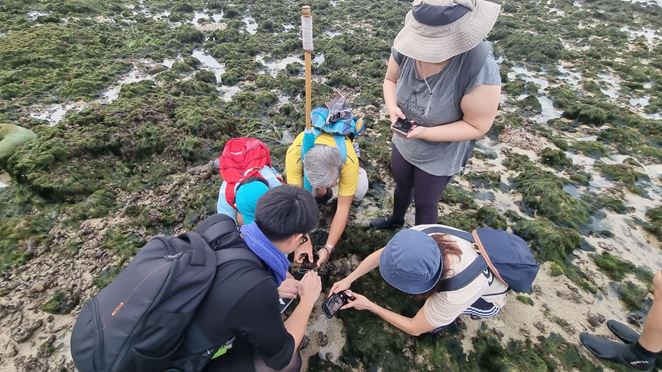 Nature and Wildlife Programmes