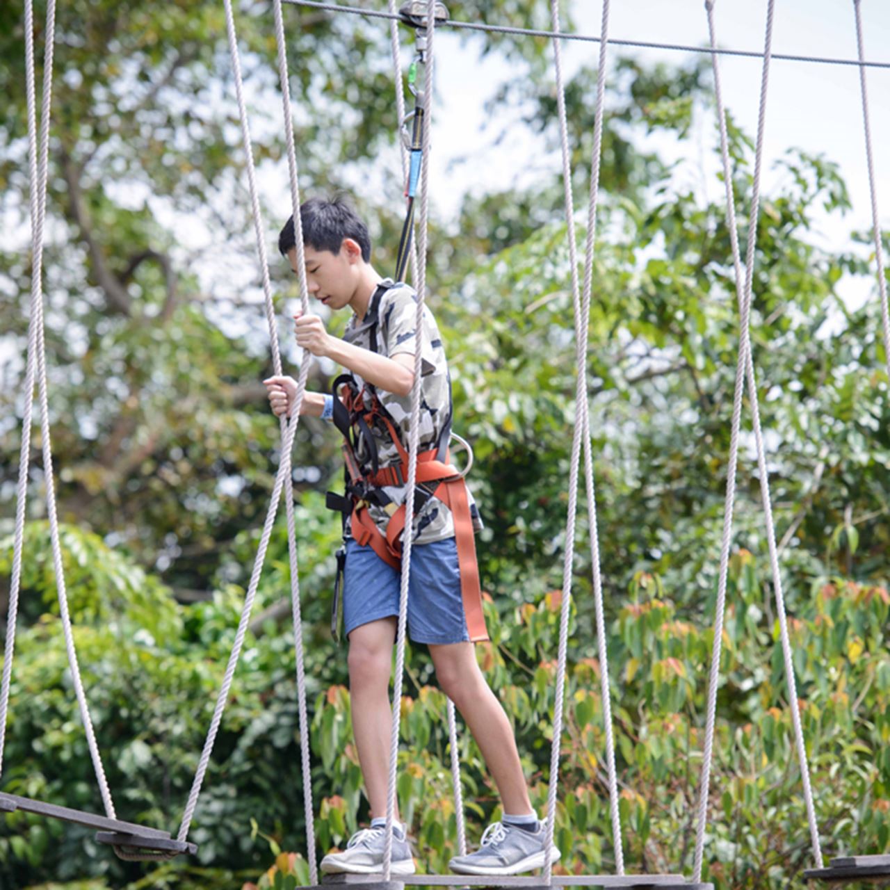 Mega Adventure Park: Book Mega Zipline & Thrills Singapore