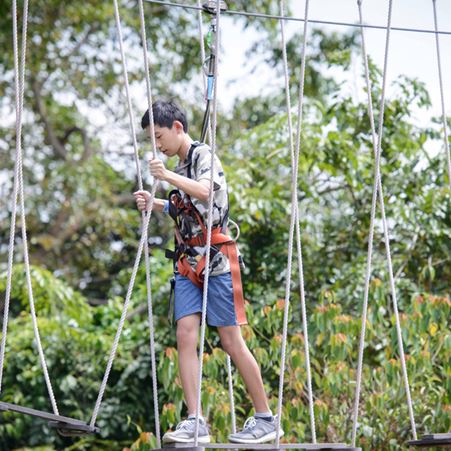 Mega Adventure Park: Book Mega Zipline & Thrills Singapore