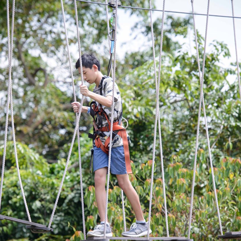 Mega Adventure Park: Book Mega Zipline & Thrills Singapore