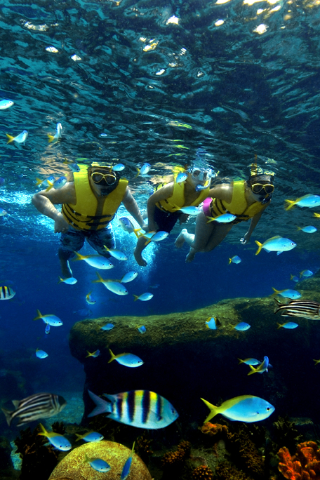 Adventure Cove Waterpark | Sentosa