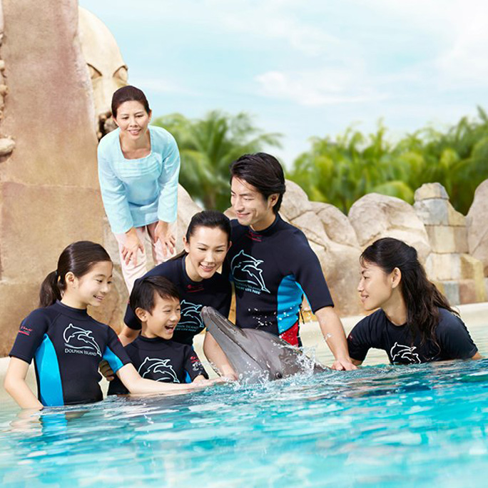 Dolphin Island at Sentosa | Interactive Dolphin Experiences