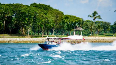 Albatross Speedboat Adventures | Sentosa