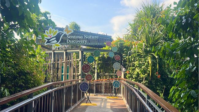 Explore the Natural Wonders of Sentosa
