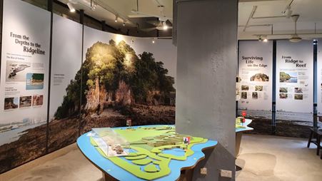 Sentosa Nature Discovery | Sentosa