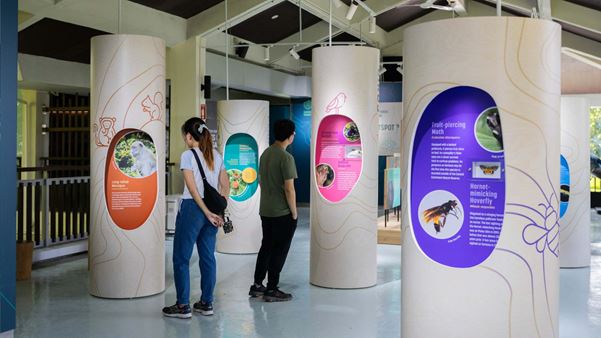Sentosa Nature Discovery | Sentosa