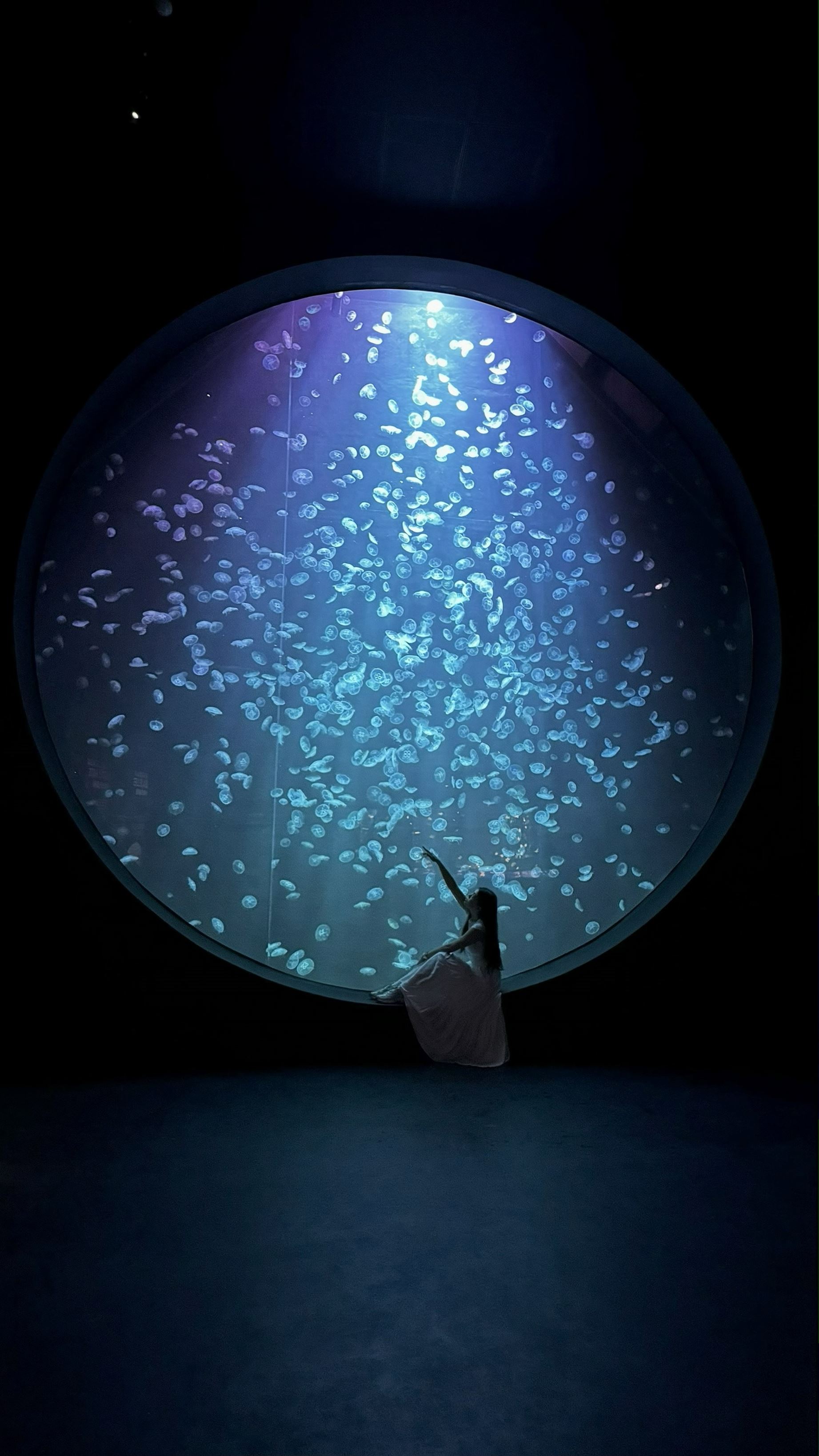 Book Singapore Oceanarium at Sentosa - Tickets from $35