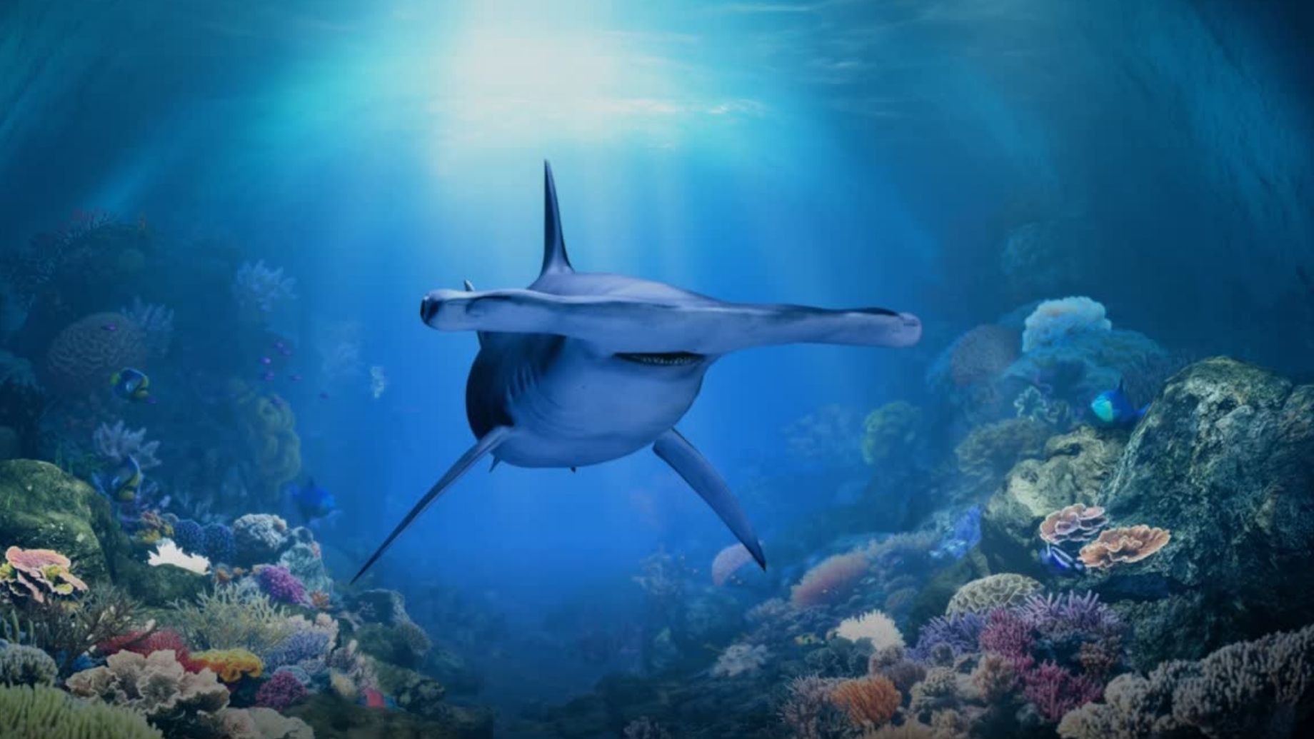 Top Things to Do in Singapore | Explore Sentosa Attractions, Beaches & More