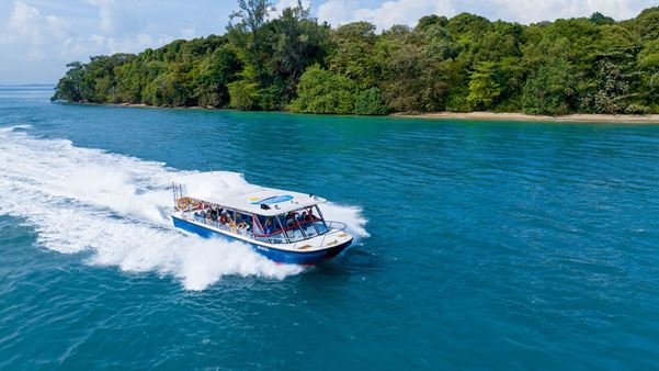 Albatross Speedboat Adventures | Sentosa
