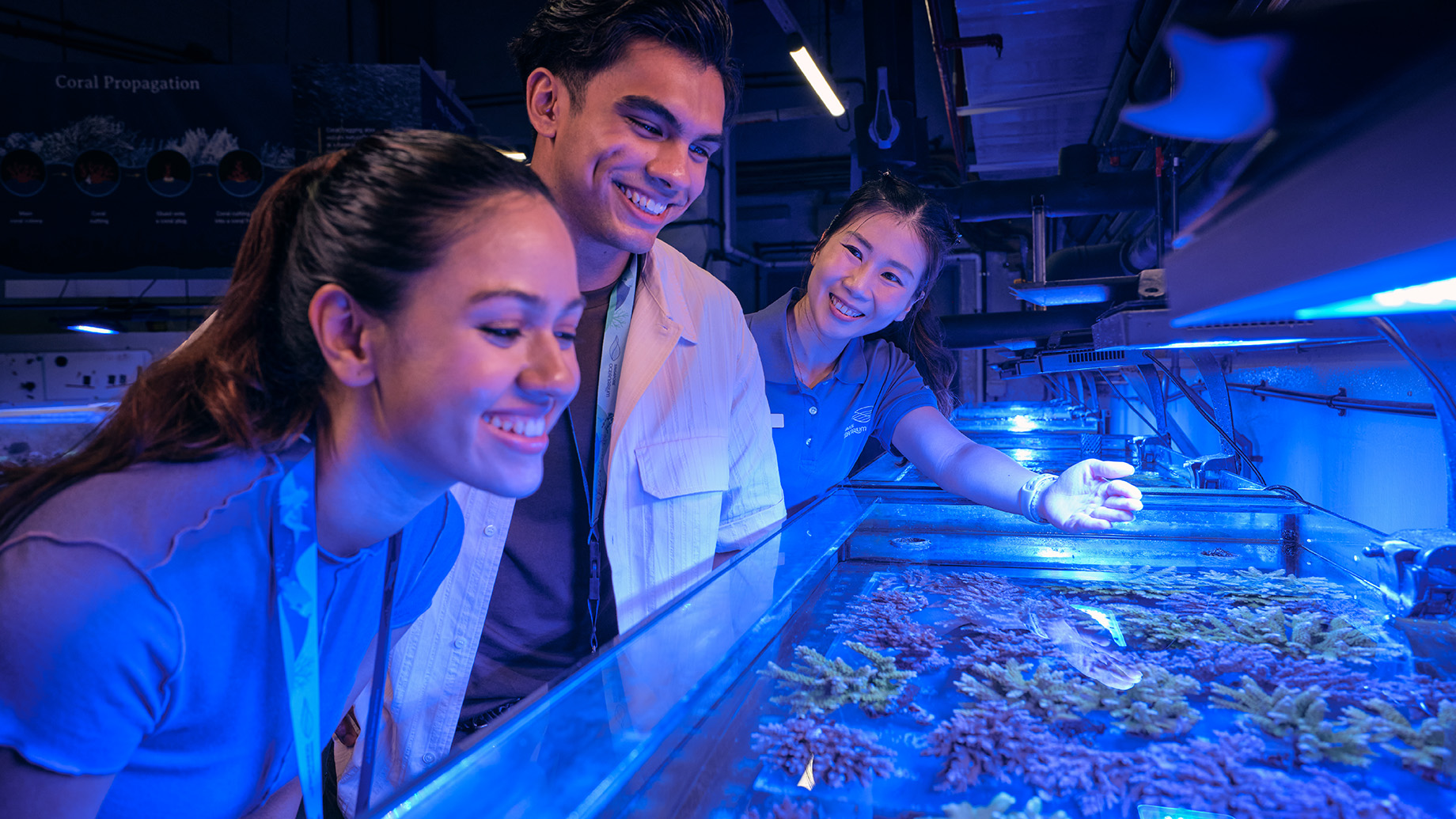 Singapore Oceanarium Immersive Programmes