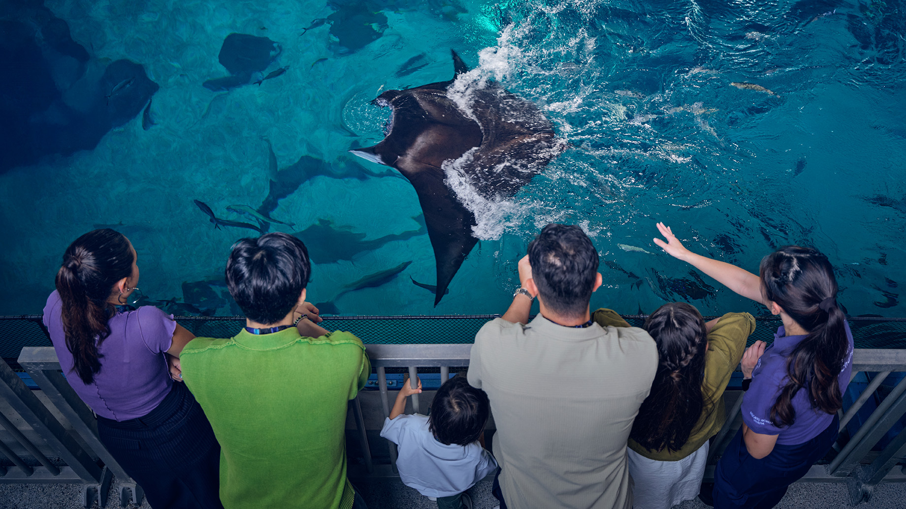 Singapore Oceanarium Insider Experience | Singapore Oceanarium