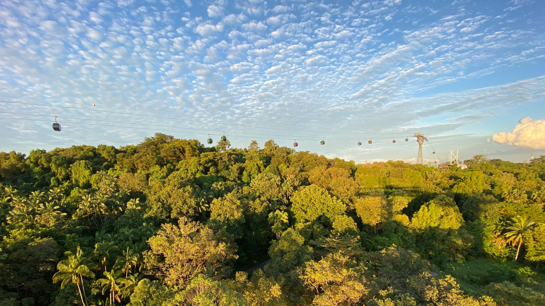 Discovering Sustainable Sentosa