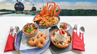 Cable Car SkyDining | Sentosa