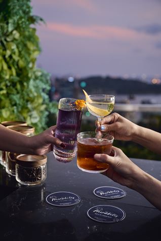 The Mirabilis Bar @ Mount Faber Peak | Sentosa