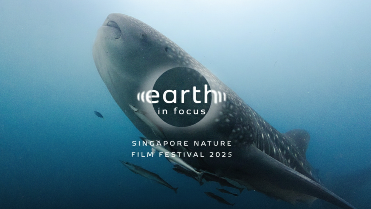 Earth In Focus - Singapore Nature Film Festival 2025
