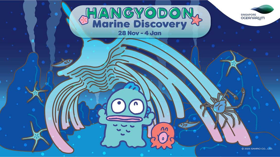 Hangyodon Marine Discovery | Singapore Oceanarium