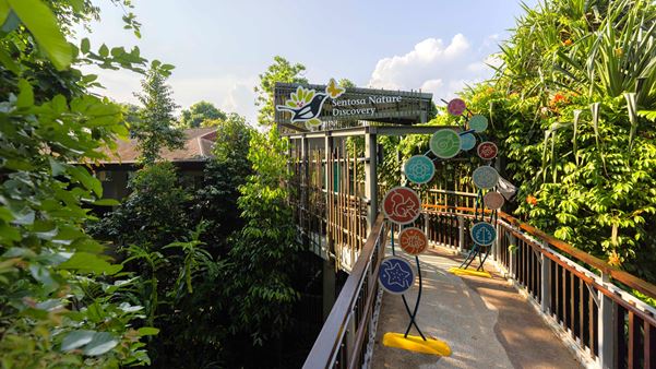 Sentosa Nature Discovery Gallery Tour