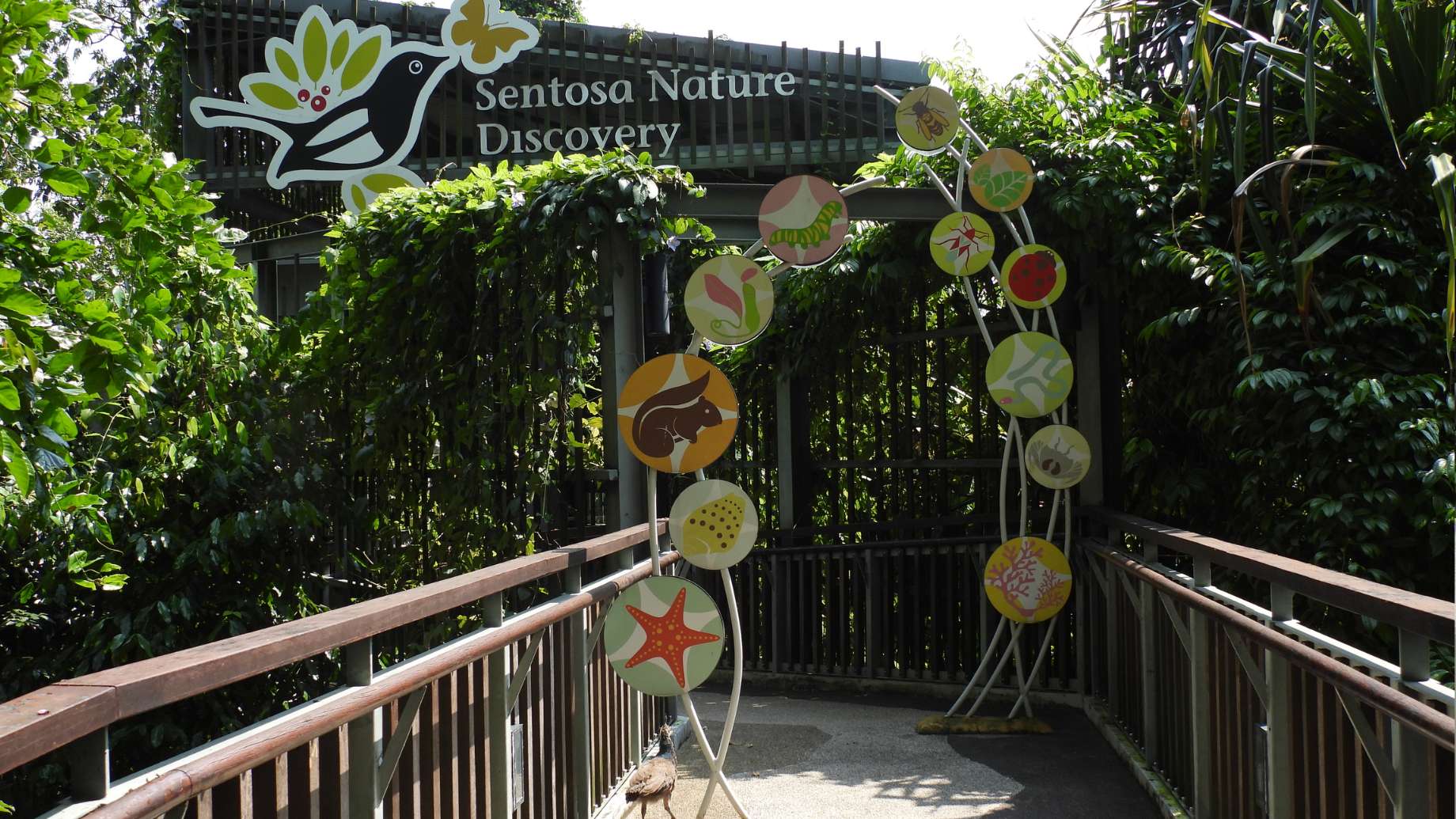 Sentosa Nature Discovery | Sentosa