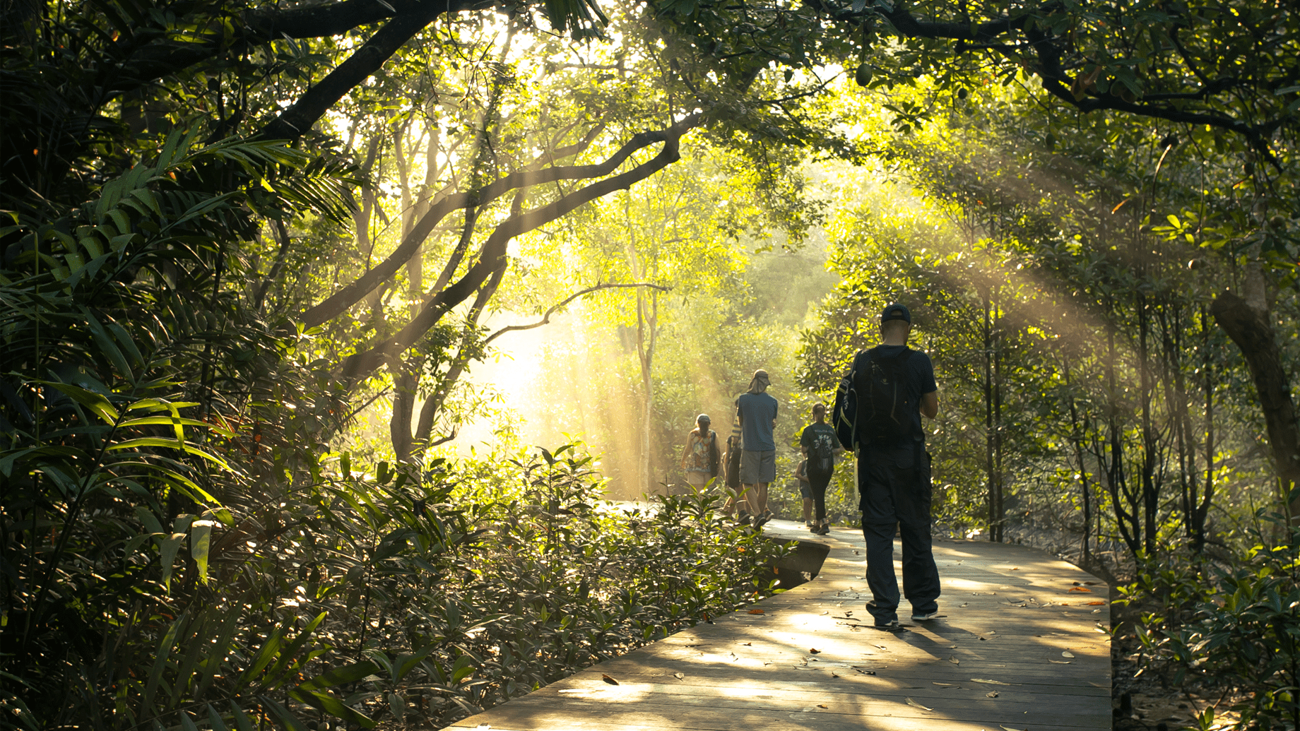 Introduction to Birdwatching | SentoSights