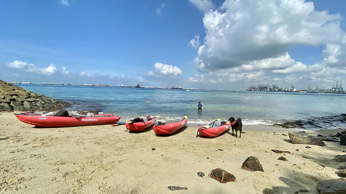 Sentosa Kayaking Trail | SentoSights
