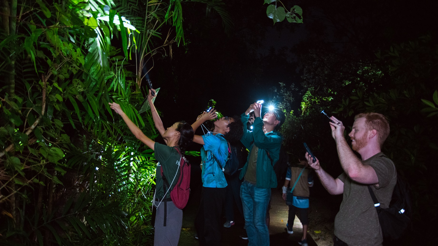 Sentosa Naturalist Night Adventure | SentoSights | Night Walk In Singapore