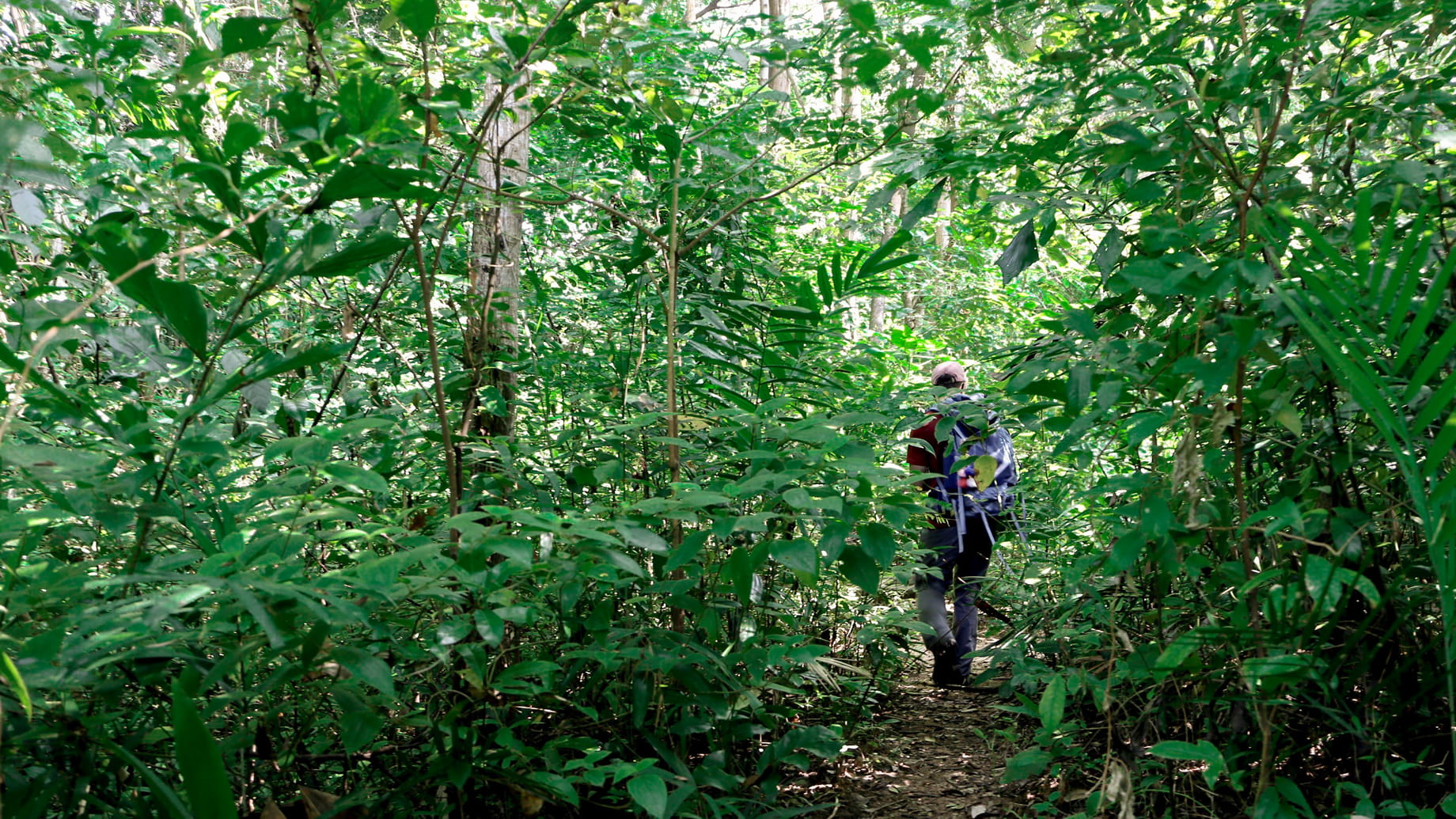 Serapong Trail | SentoSights