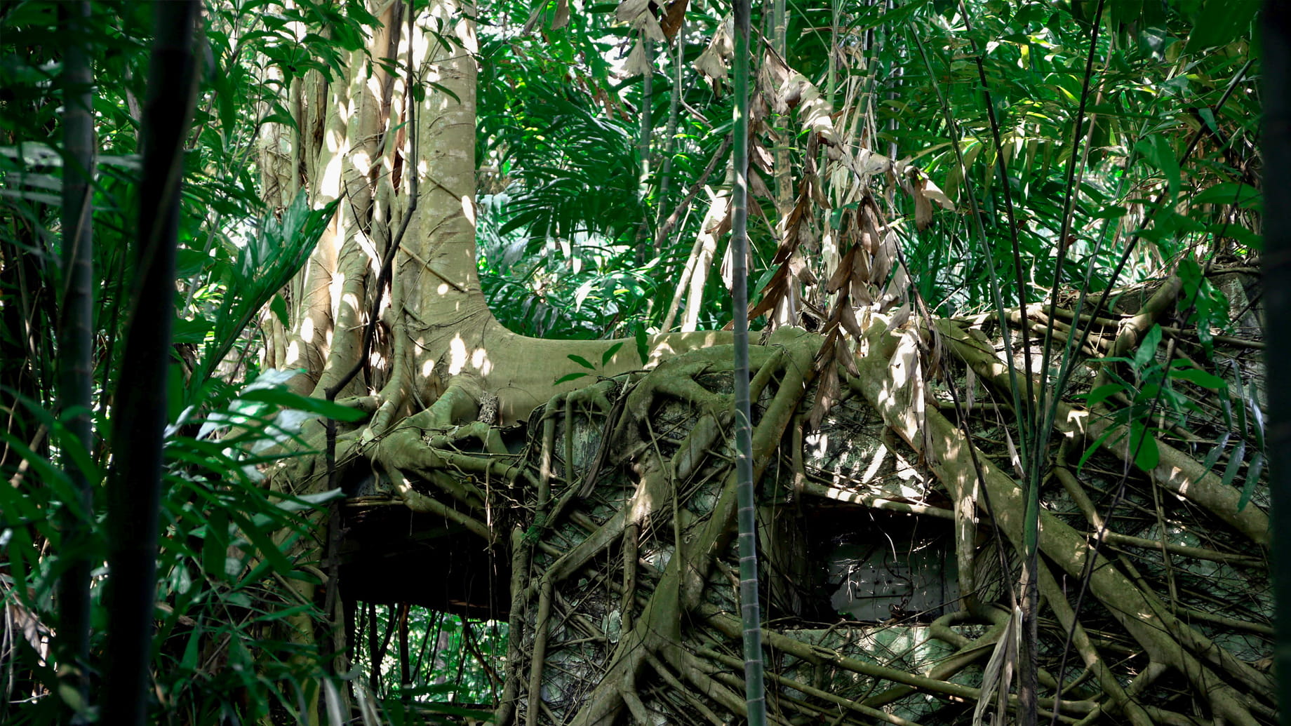 Serapong Trail | SentoSights